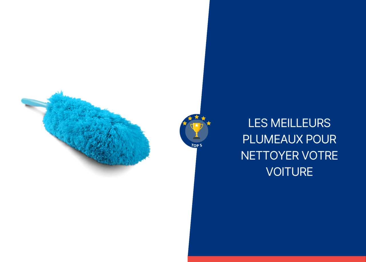 Plumeau : lequel choisir pour un nettoyage facile